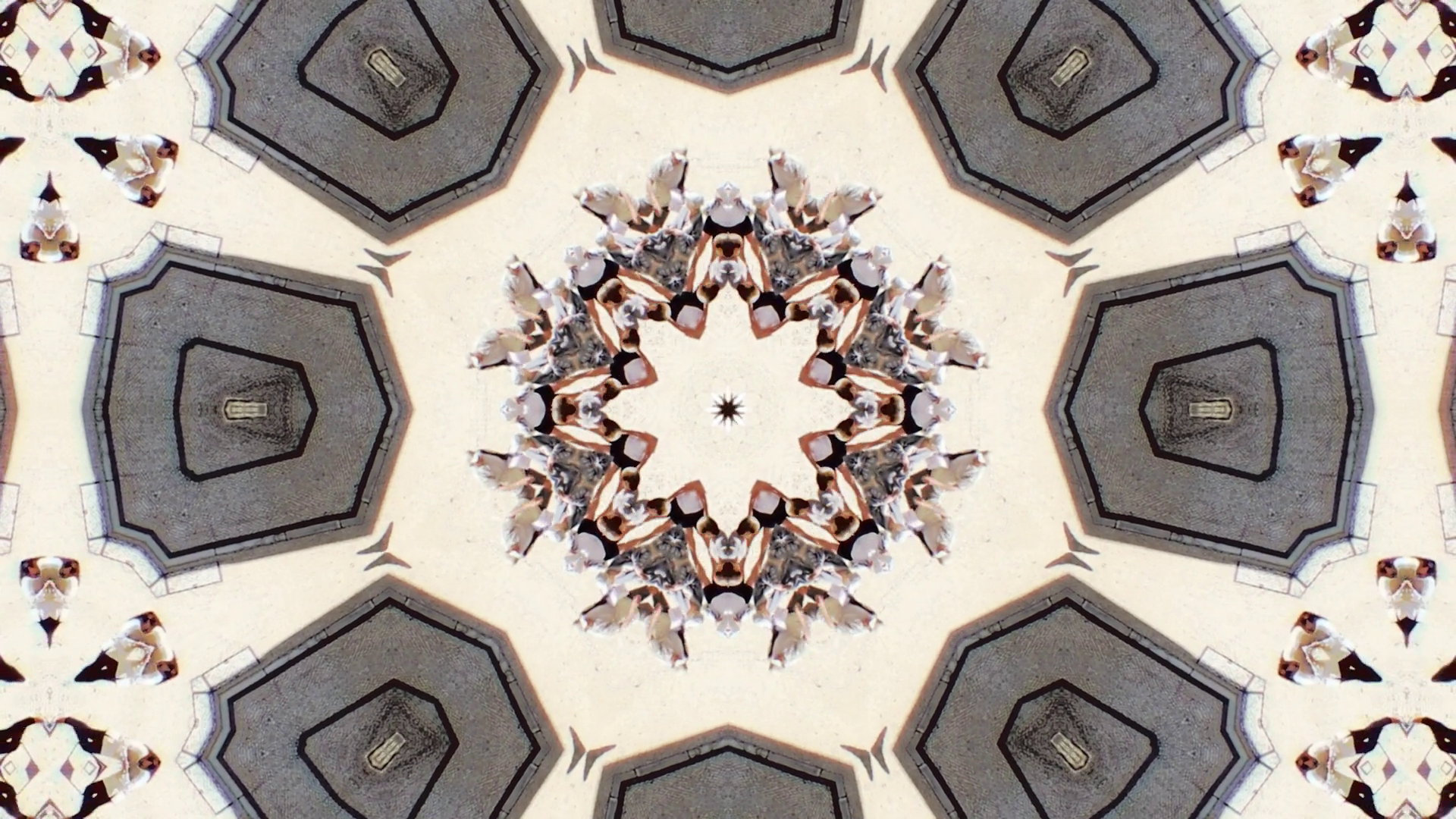 People Mandala Abstract Motion Background Stock Footage SBV-352199725 ...