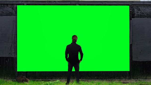Billboard Green Screen | Animals stock footage - Storyblocks
