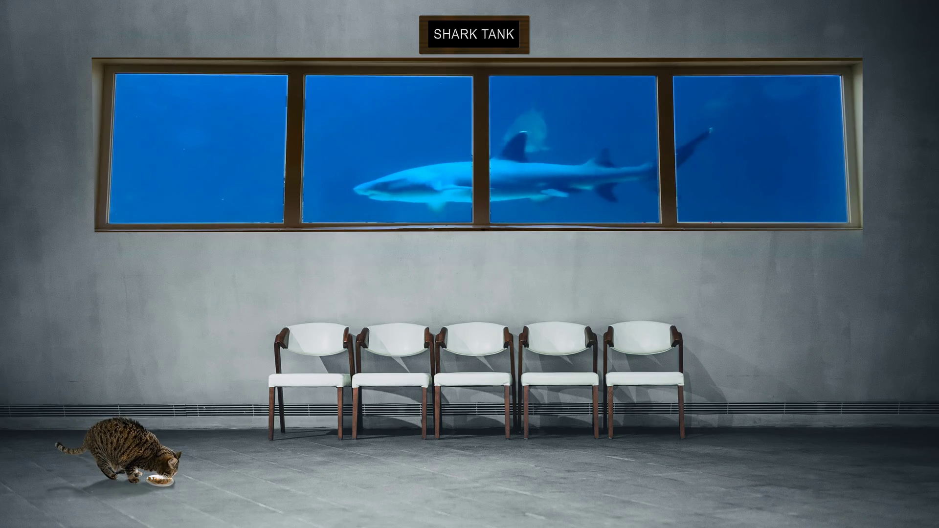 Shark Tank Window View Room Interior Sharks Stock Footage SBV-352329583 ...