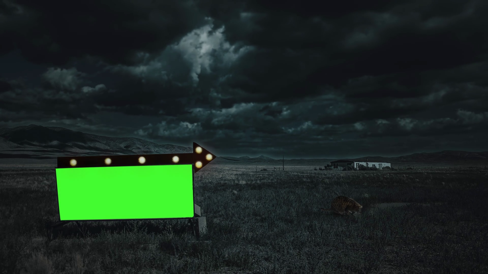 Green Screen Billboard Arrow Sign Flashing Stock Footage SBV-352301400 ...