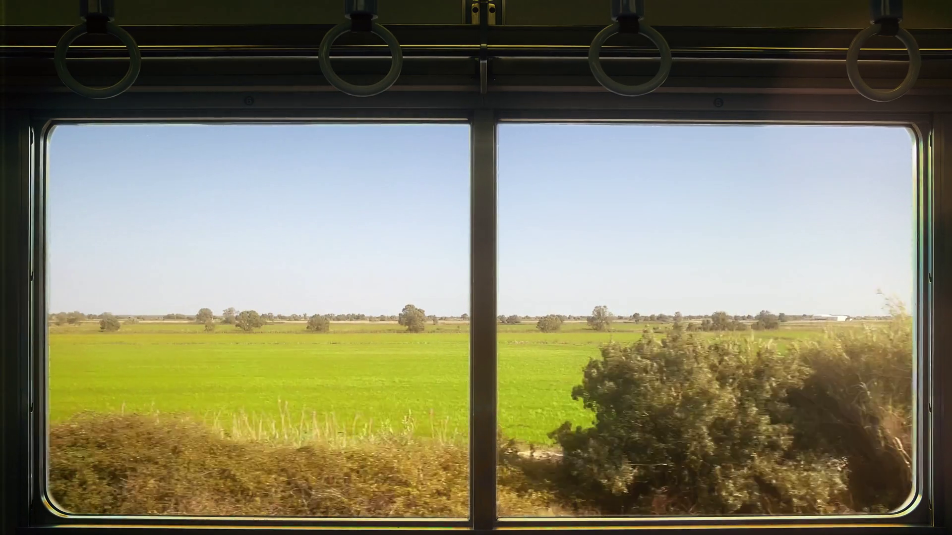 Train Ride Window View Countryside Empty Car Stock Footage SBV ...