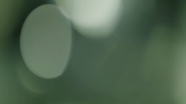 Dissolve Transition Stock Footage: Royalty-Free Video Clips - Storyblocks