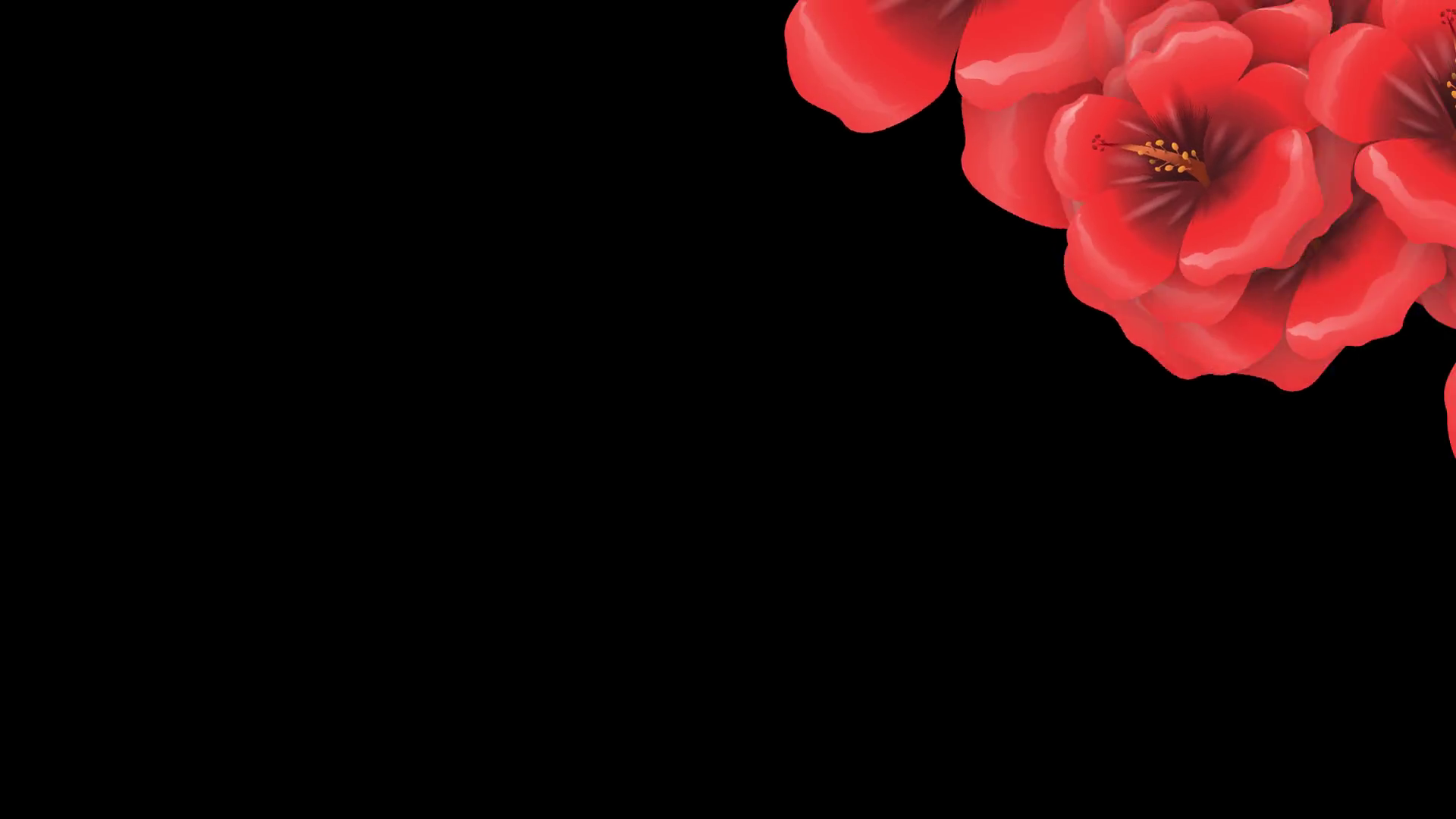 Flowers Transition 4k Alpha Stock Motion Graphics SBV-347623259 ...