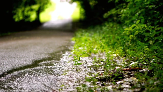 Springoff Road Stock Footage: Royalty-Free Video Clips - Storyblocks