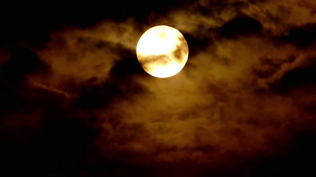 Full Video On You Stock Footage: Royalty-Free Video Clips - Storyblocks