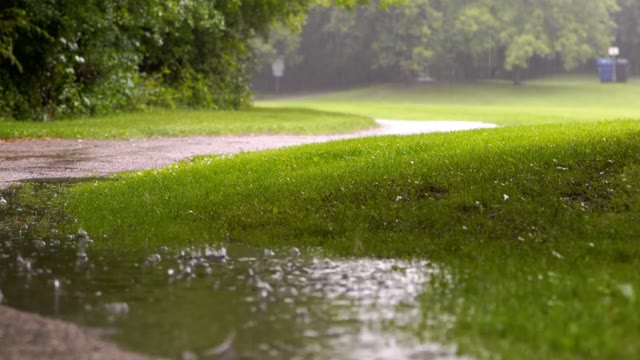 Wet Pathway Stock Footage: Royalty-Free Video Clips - Storyblocks