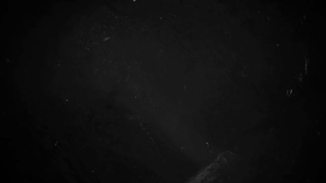 Download 10,515 Black Motion Backgrounds - Storyblocks