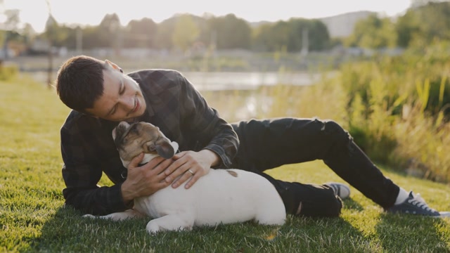 Companion Of Man Stock Footage: Royalty-Free Video Clips - Storyblocks