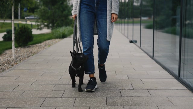 Outdoor Stroll Stock Footage: Royalty-Free Video Clips - Storyblocks