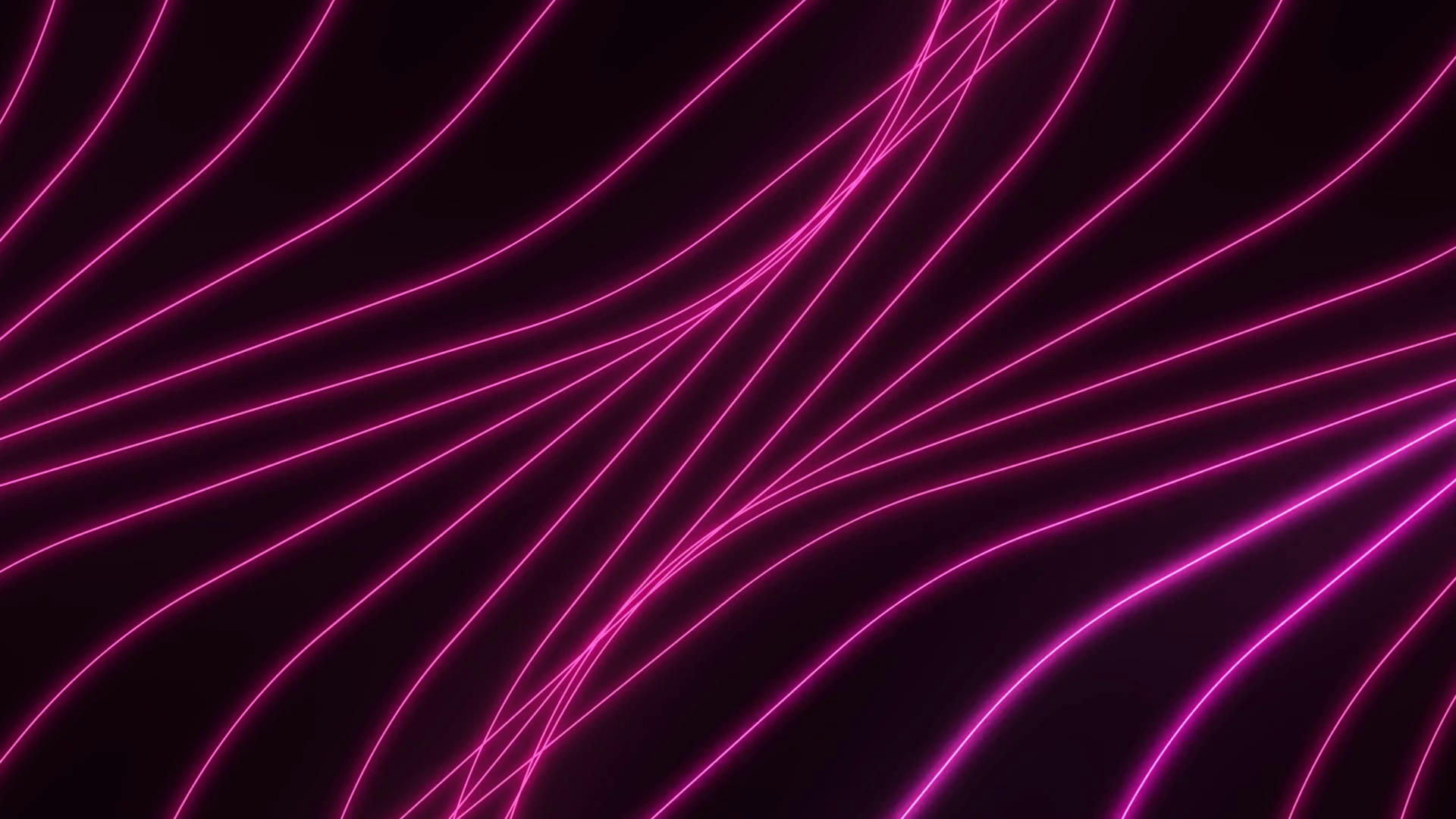 Pink Neon Lines On Motion Abstract Stock Motion Graphics SBV-347273367 ...