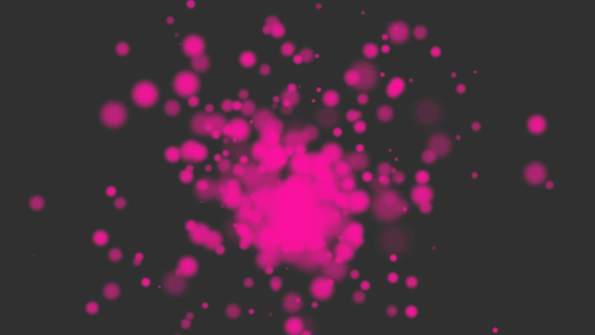 Small Pink Particles Round Bokeh On Black Stock Motion Graphics SBV ...
