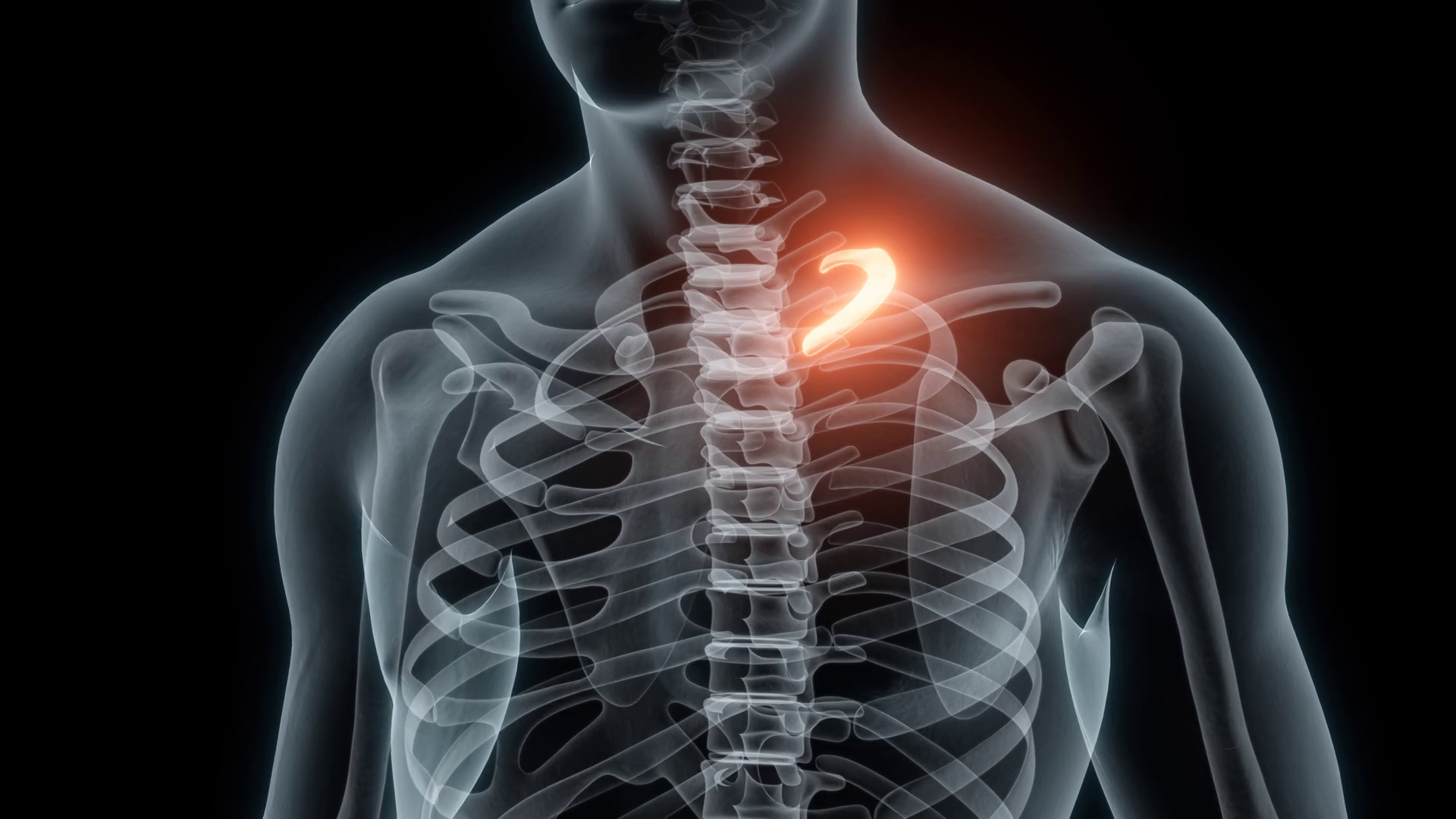 3d Rendering Of Medical Animation Of Rib Stock Footage SBV-347463267 ...