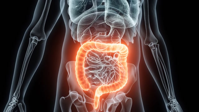 Intestinal Health Stock Footage: Royalty-Free Video Clips - Storyblocks