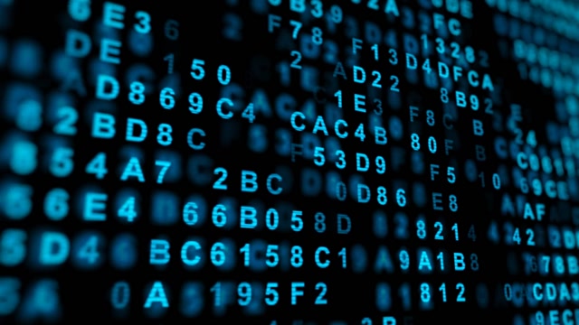 Hexadecimal Data Stock Footage: Royalty-Free Video Clips - Storyblocks