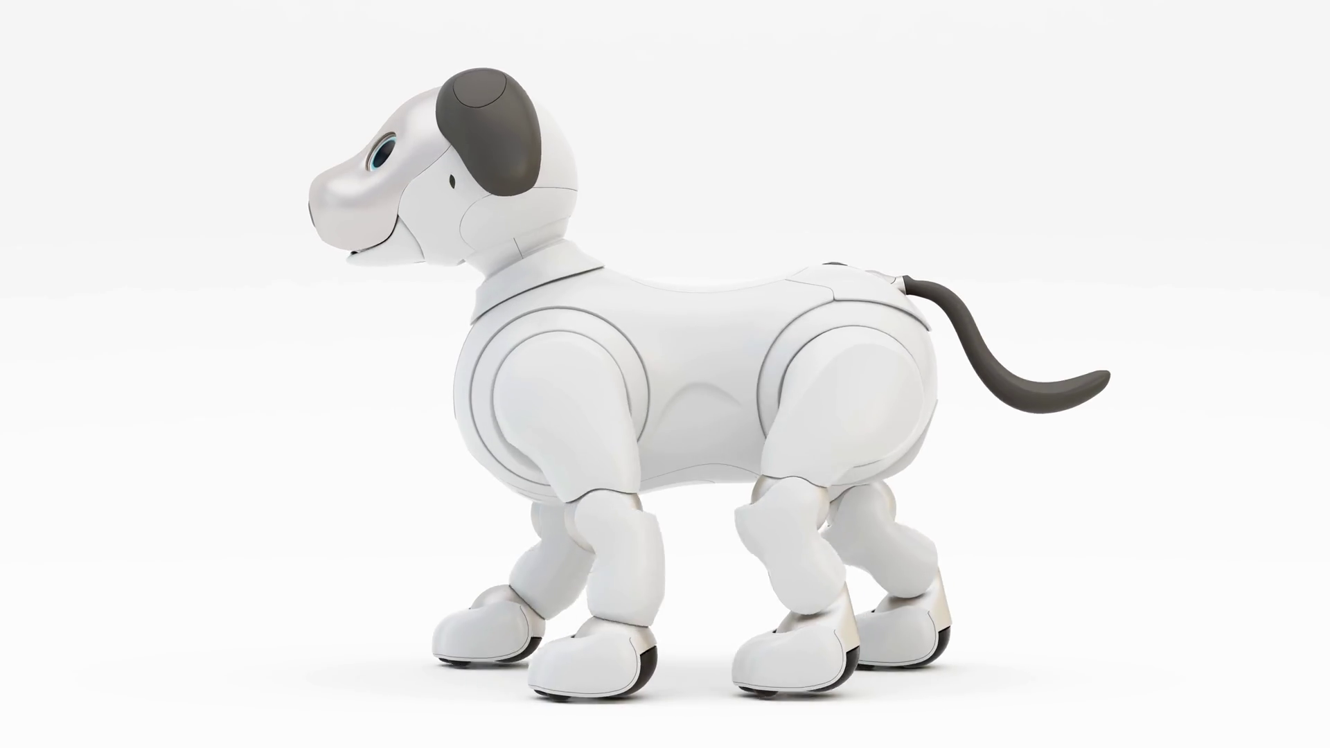 Robotic Dog Aibo Robot 3d Render 4k Looping Stock Motion Graphics SBV ...