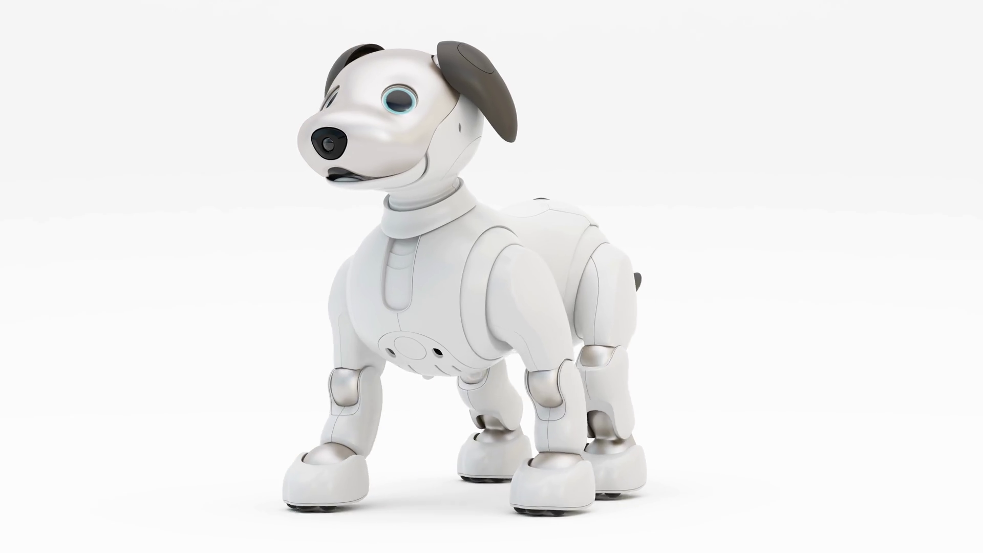 Robotic Dog Aibo Robot 3d Render 4k Looping Stock Motion Graphics SBV ...