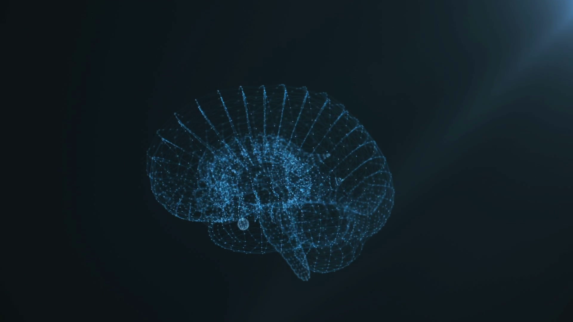 The Human Brain Is Formed Spinning Stock Motion Graphics SBV-317362207 ...