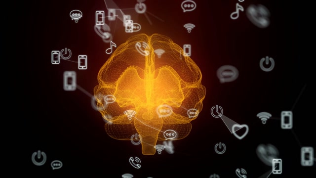 Human Brain Anatomy Stock Footage: Royalty-Free Video Clips - Storyblocks