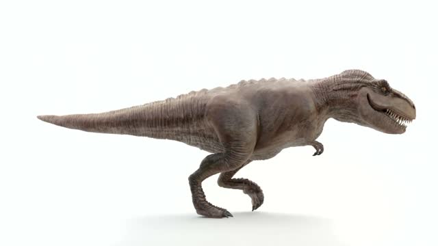 Dinosaur Walking Stock Footage: Royalty-Free Video Clips - Storyblocks