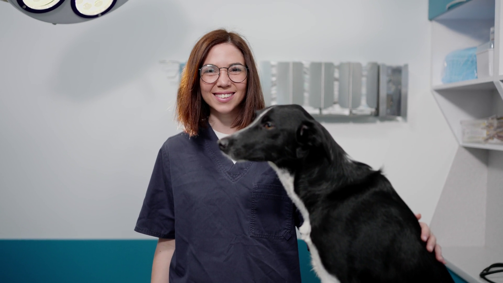 Portrait Of Happy Brunette Veterinarian Girl Stock Footage SBV ...