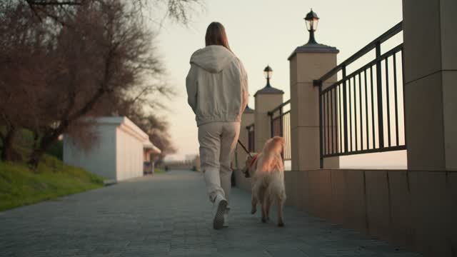 Relaxed Walk Stock Footage: Royalty-Free Video Clips - Storyblocks