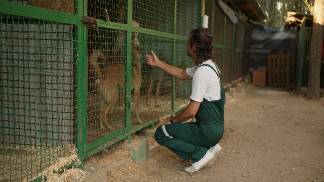 Animal Trading Stock Footage: Royalty-Free Video Clips - Storyblocks