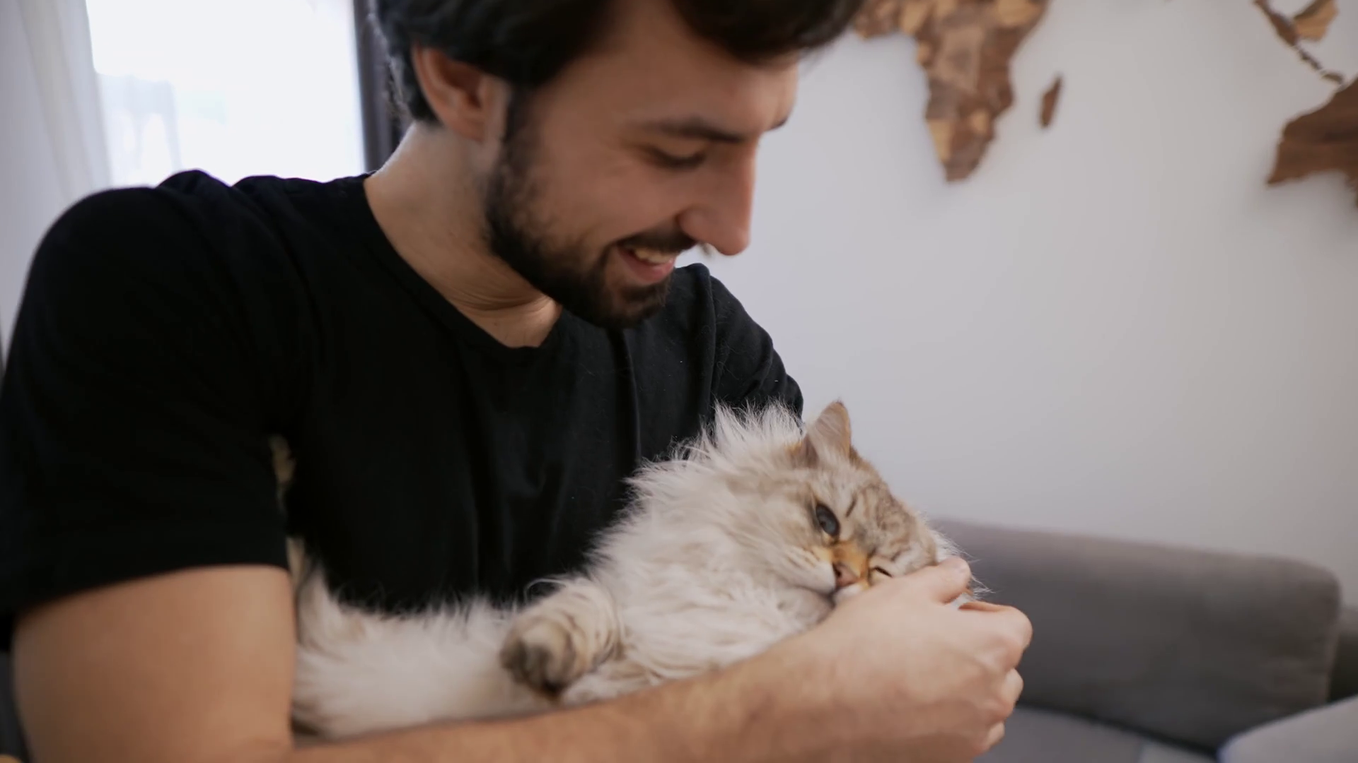 A young man caress his fluffy cat, holds it on arms Stock Video Footage ...