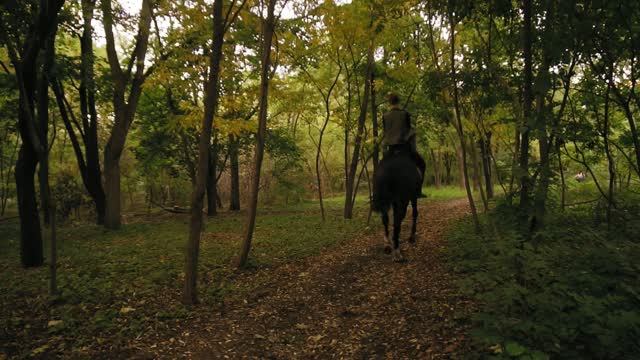 Horse Running Loop Stock Footage: Royalty-Free Video Clips - Storyblocks