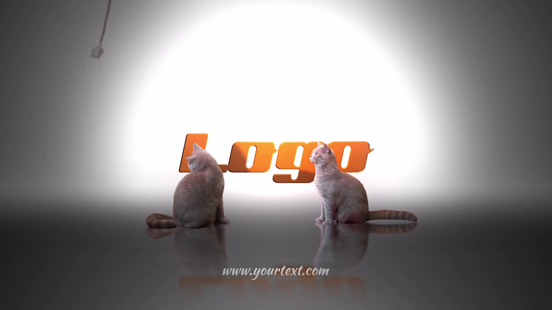 Funny Cats Logo Intro Template SBV-347471368 - Storyblocks
