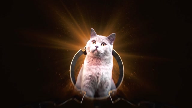 Movie Intro Templates Royalty-Free - Storyblocks