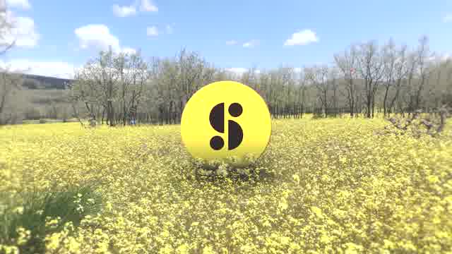 Logo Sting Logo Reveal Templates Royalty-Free - Storyblocks