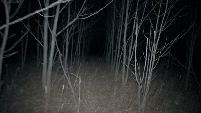 Ghosts At Night Stock Footage: Royalty-Free Video Clips - Storyblocks