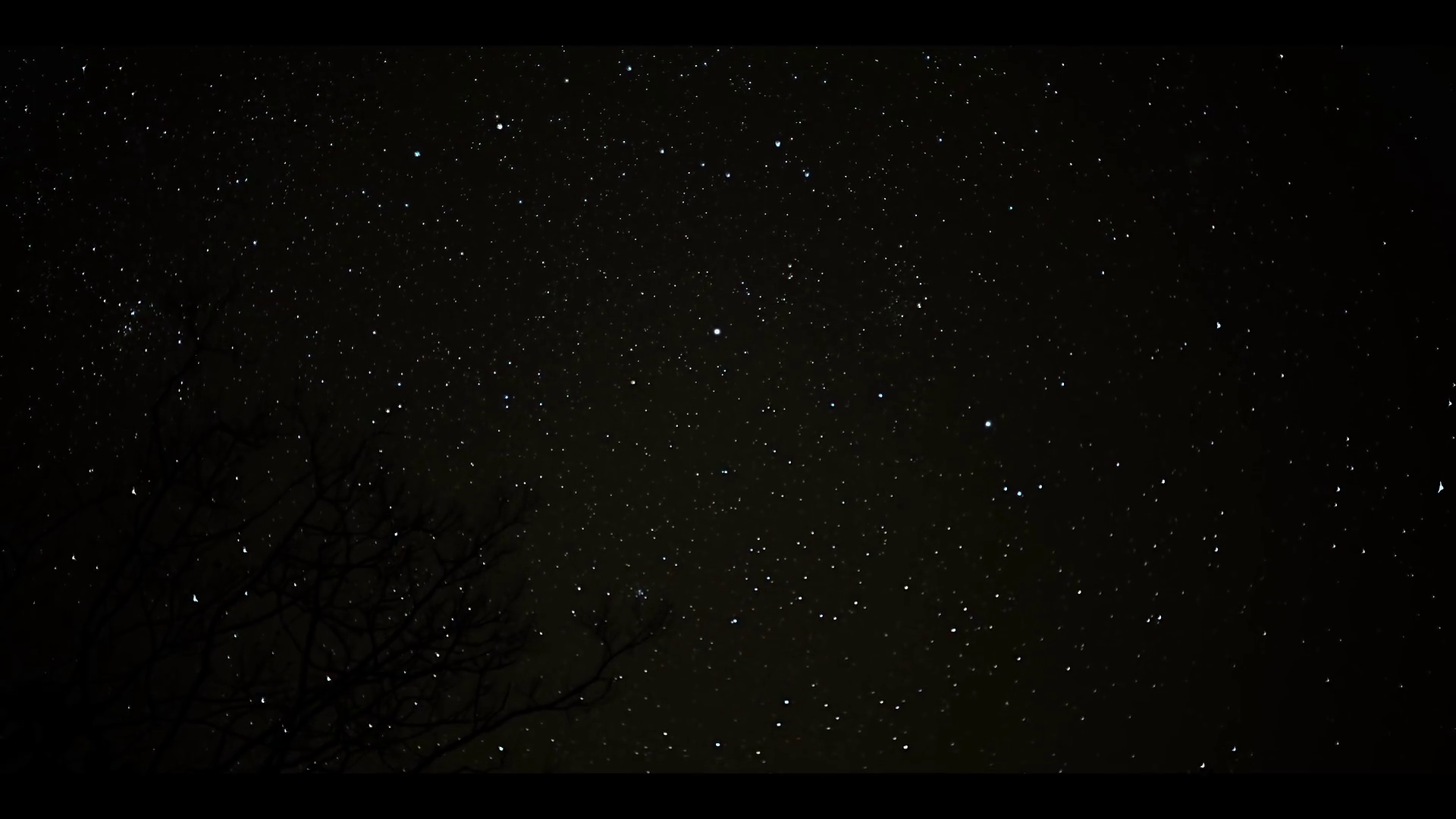 Night Starry Sky Timelapse With Tree Time Stock Footage SBV-334805407 ...