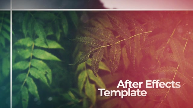 Royalty Free Templates Storyblocks