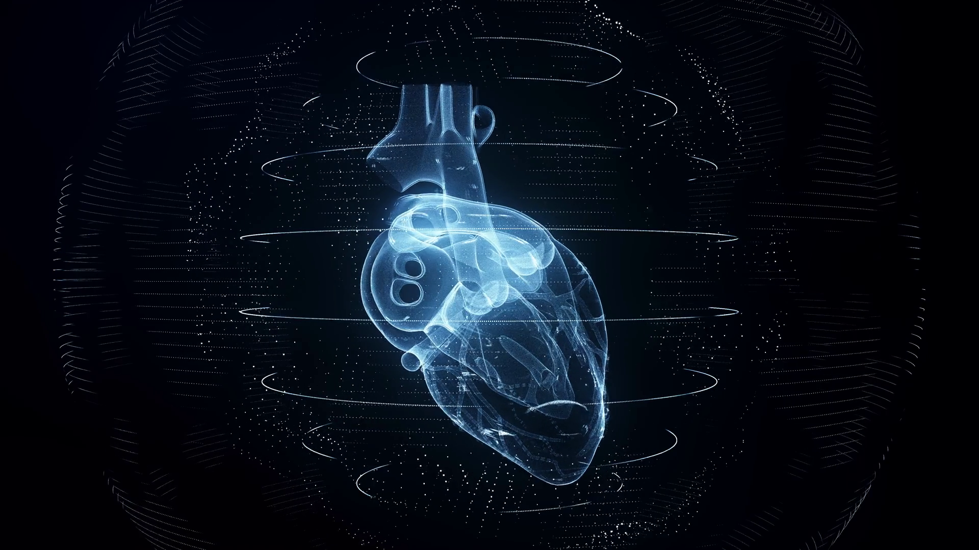 Anatomically Correct Blue Digital Human Stock Motion Graphics SBV ... Anatomically Correct Blue Digital Human Stock Motion Graphics SBV ...