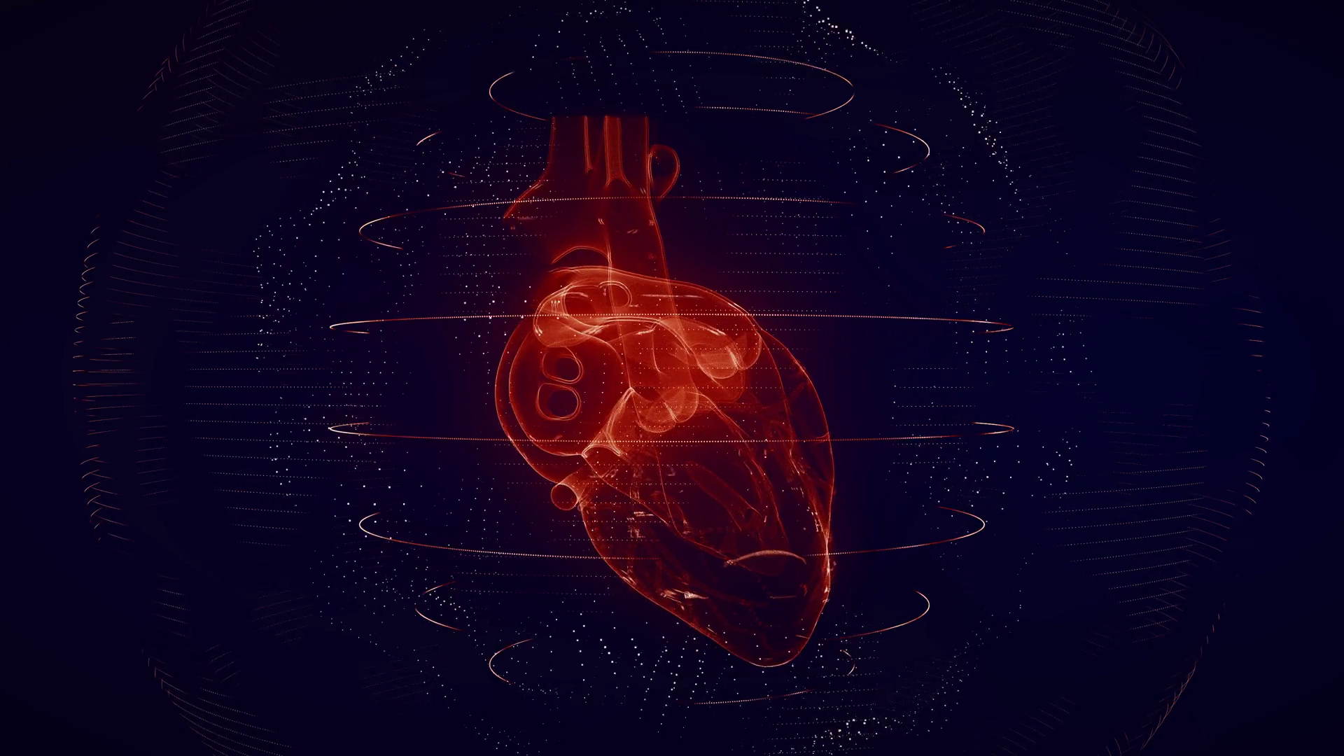 Anatomically Correct Red Digital Human Heart Stock Motion Graphics SBV ...