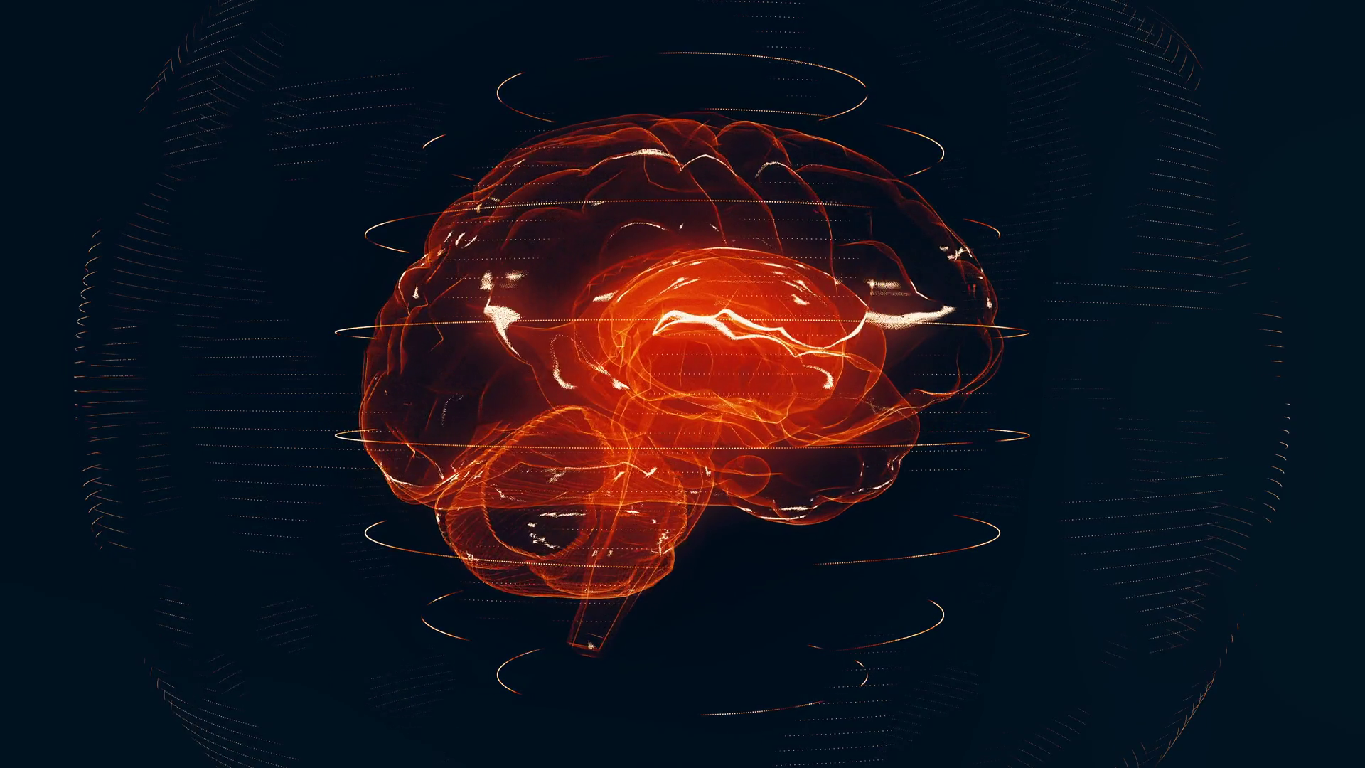 Futuristic Red Digital Brain Seamless Loop Stock Motion Graphics SBV ...