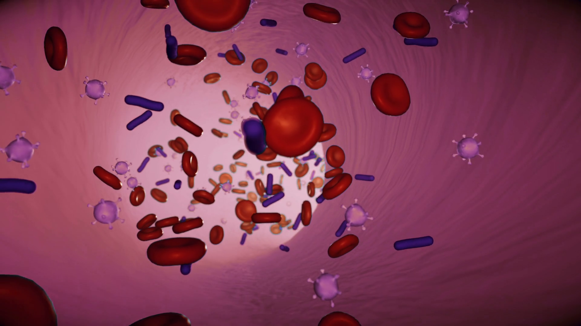 Red Blood Cells Viruses In Blood Stream In Stock Motion Graphics SBV ...