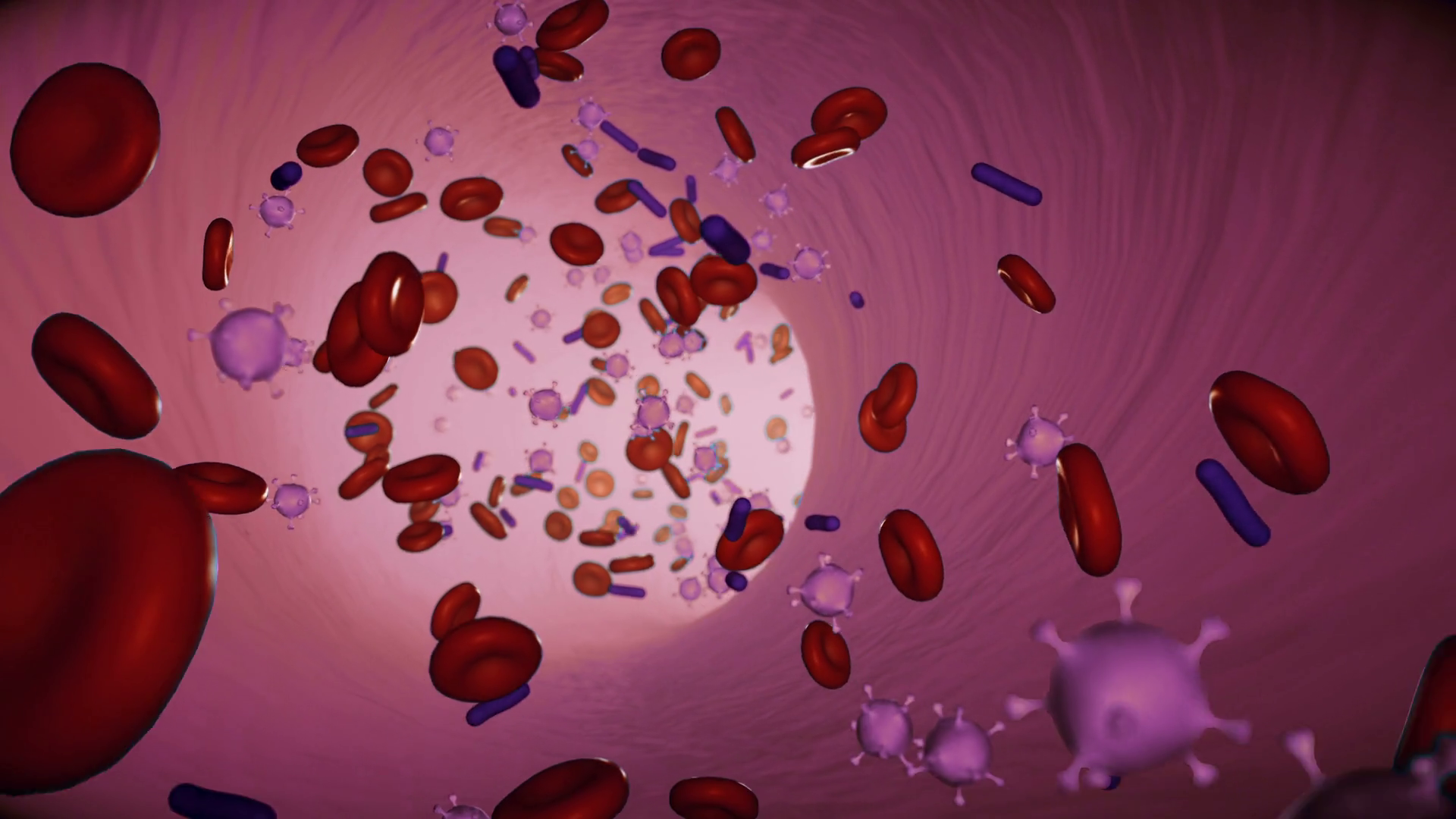 Red blood cells and viruses in the blood stream in an artery seamless ...