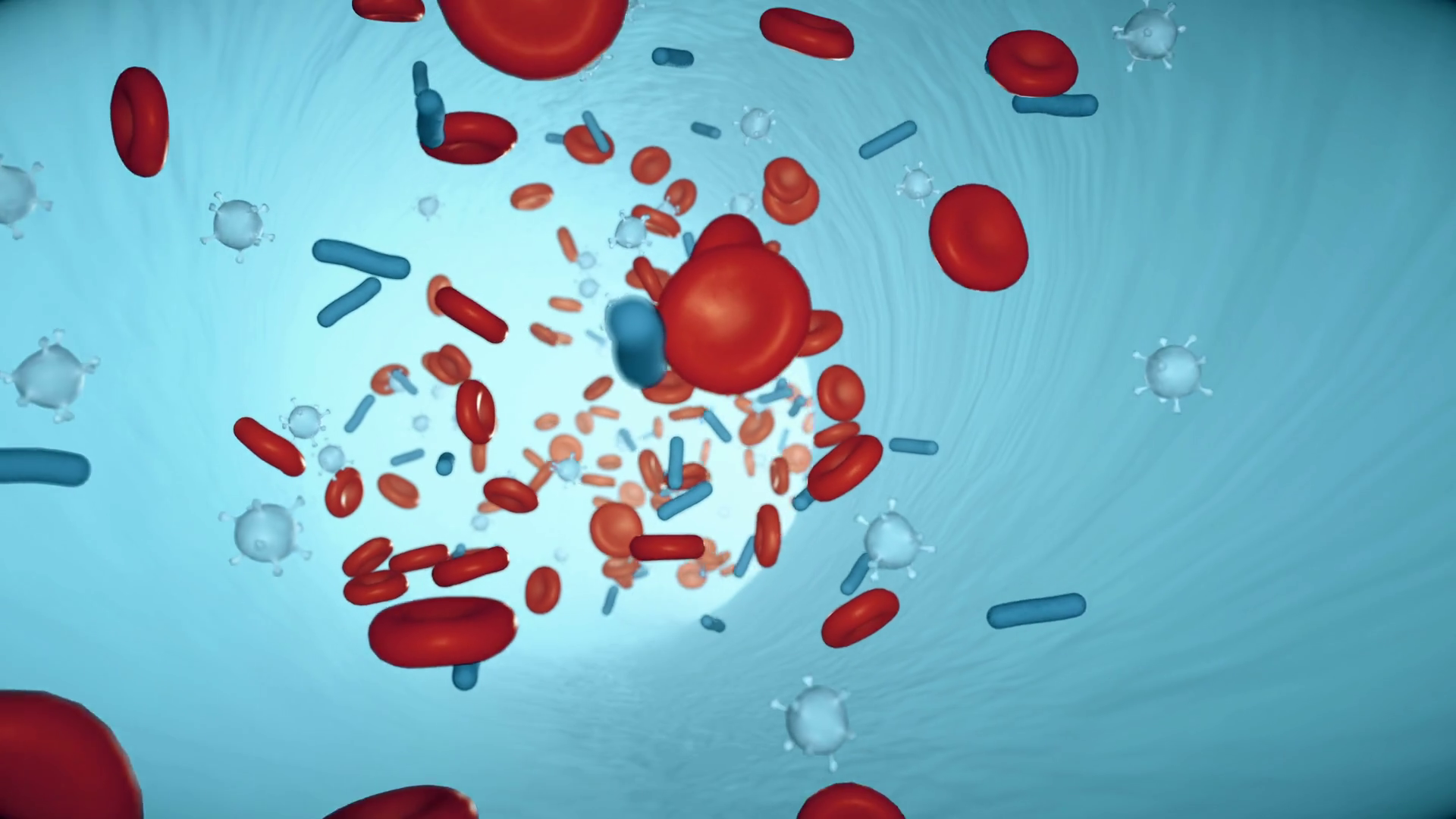 Red Blood Cells Viruses In Blood Stream In Stock Motion Graphics SBV ...
