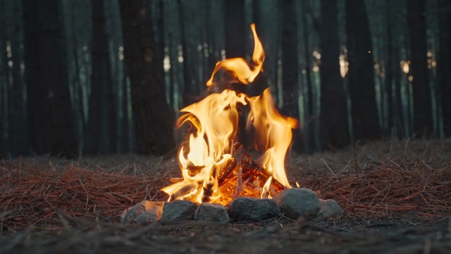 Download Fire Video Footage - Royalty Free Fire Stock Videos