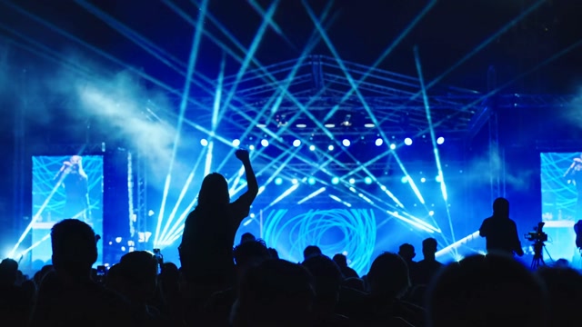 Music Festival Crowd Stock Footage: Royalty-Free Video Clips - Storyblocks