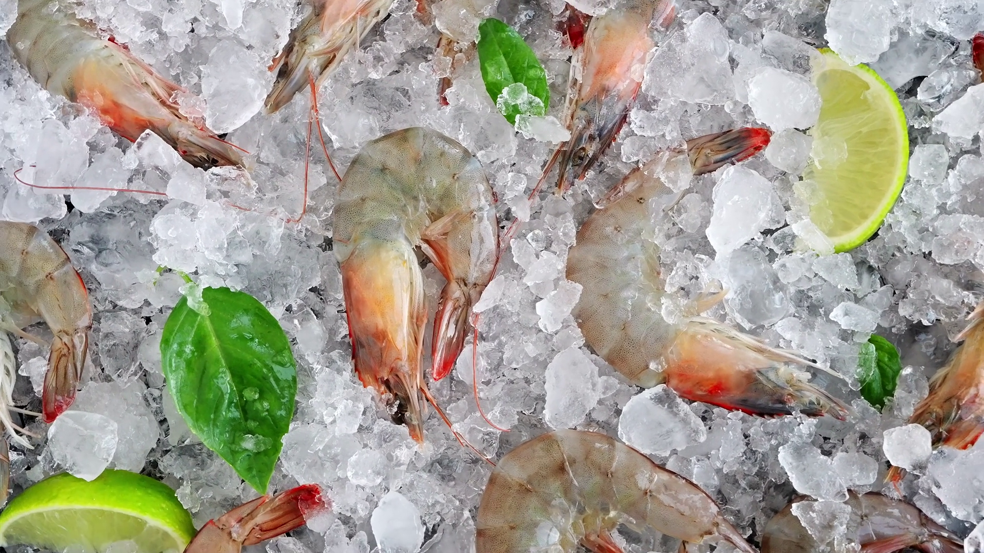 Frozen Shrimp On Crushed Ice With Lime Stock Footage SBV-352460914 ...