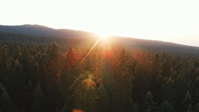 Sunrise Over Forest Stock Footage: Royalty-Free Video Clips - Storyblocks