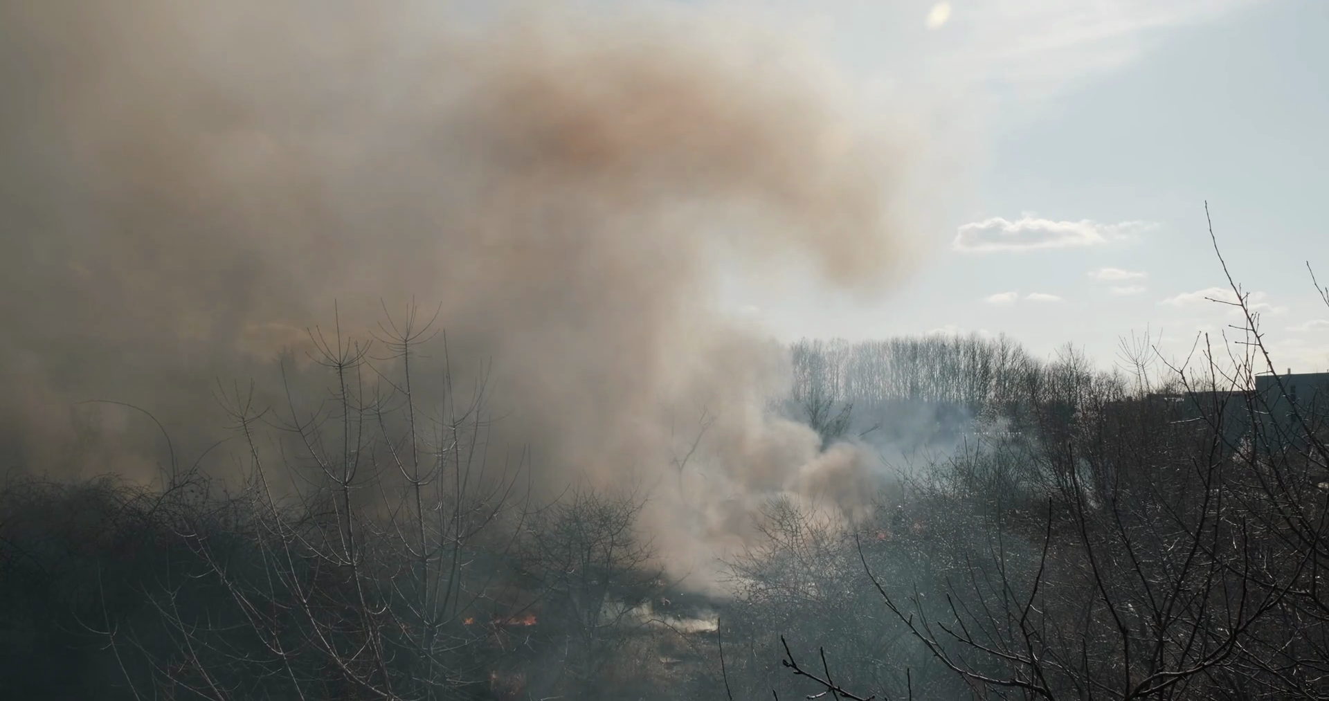 Fire In Forest Clouds Smoke Fire In Forest Stock Footage SBV-347355884 - Storyblocks