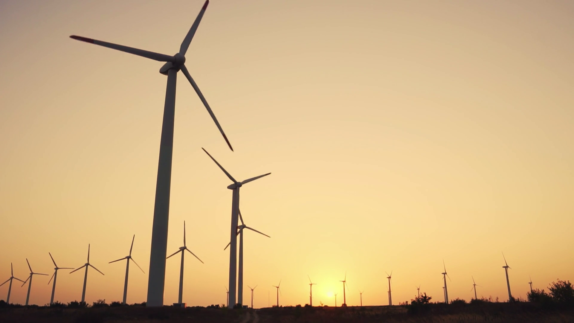 Large windmills with blades in field on background of bright orange ...