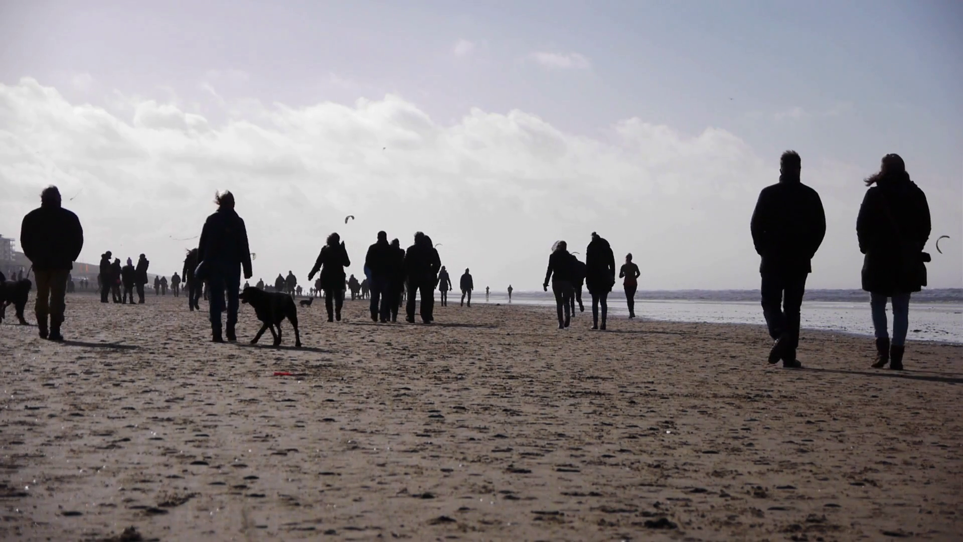 People walking on the beach Stock Video Footage 00:15 SBV-314243651 ...
