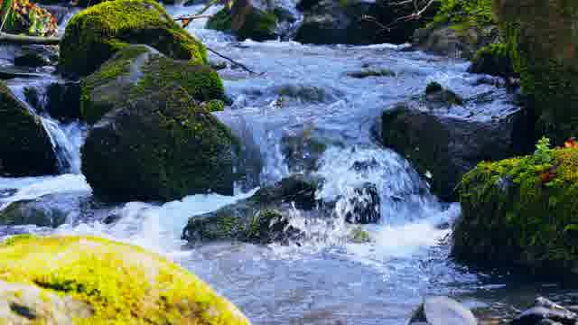 Rushing Water Stock Footage: Royalty-Free Video Clips - Storyblocks