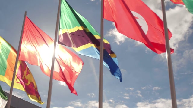 All Flags Stock Footage: Royalty-Free Video Clips - Storyblocks
