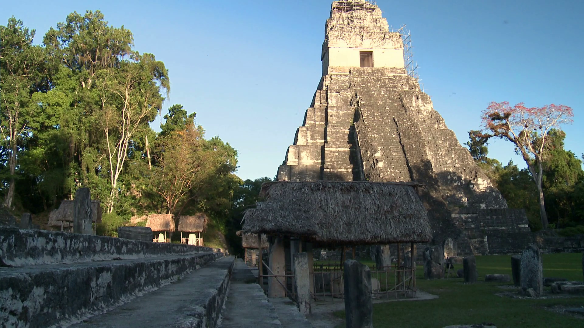 Mayan Pyramids In Jungles Of Guatemala Stock Footage SBV-338718692 ...